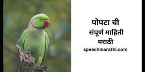 पोपटा विषयी माहिती / Parrot Information In Marathi